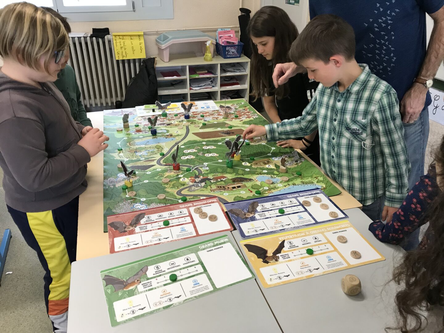 Ma cour en vert – les chauves-souris – Ecole primaire publique Ma cour en vert – les chauves-souris – Ecole primaire publique